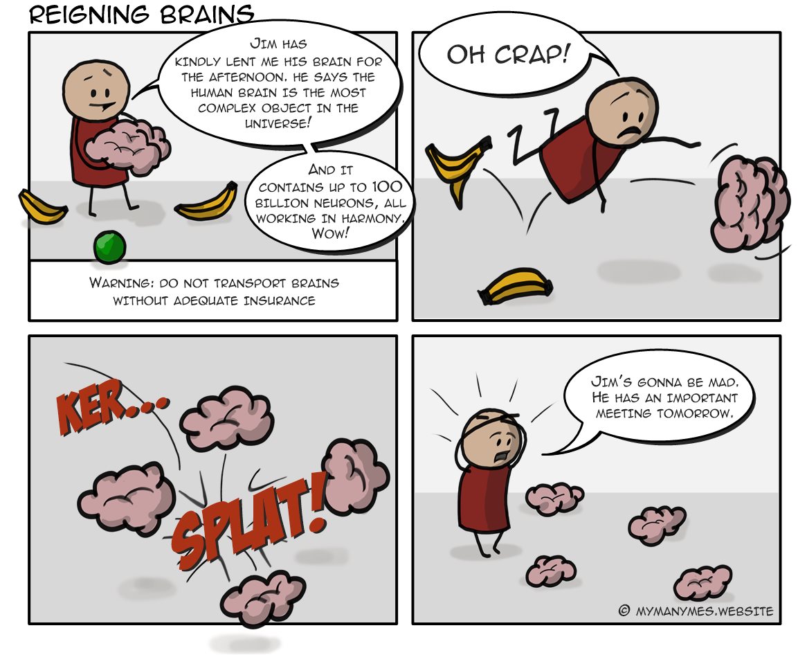 Say Hi to Jim's Brain